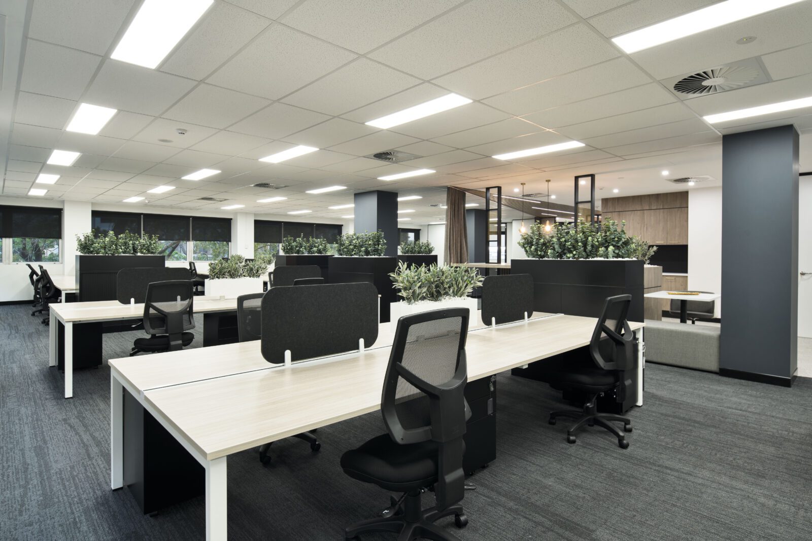 110 Eagle Street | Caden